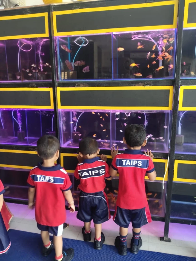 Field Trip to Pet Shop - taips.edu.in
