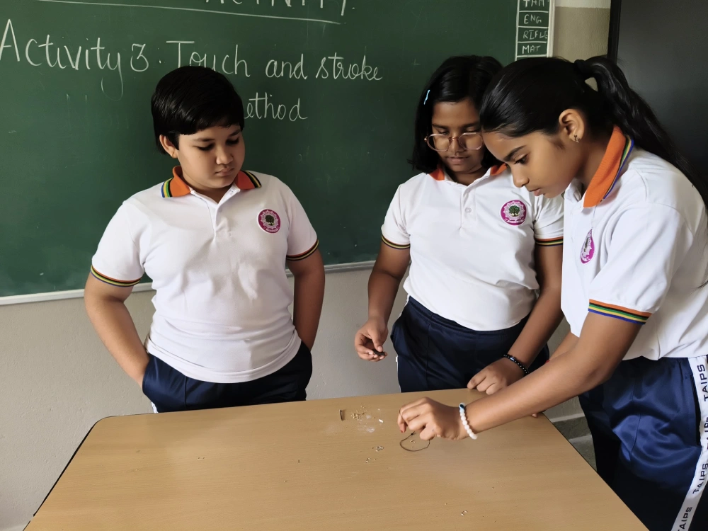 Grade 6 Science Activity – Magnetism - The Adhyayana International ...